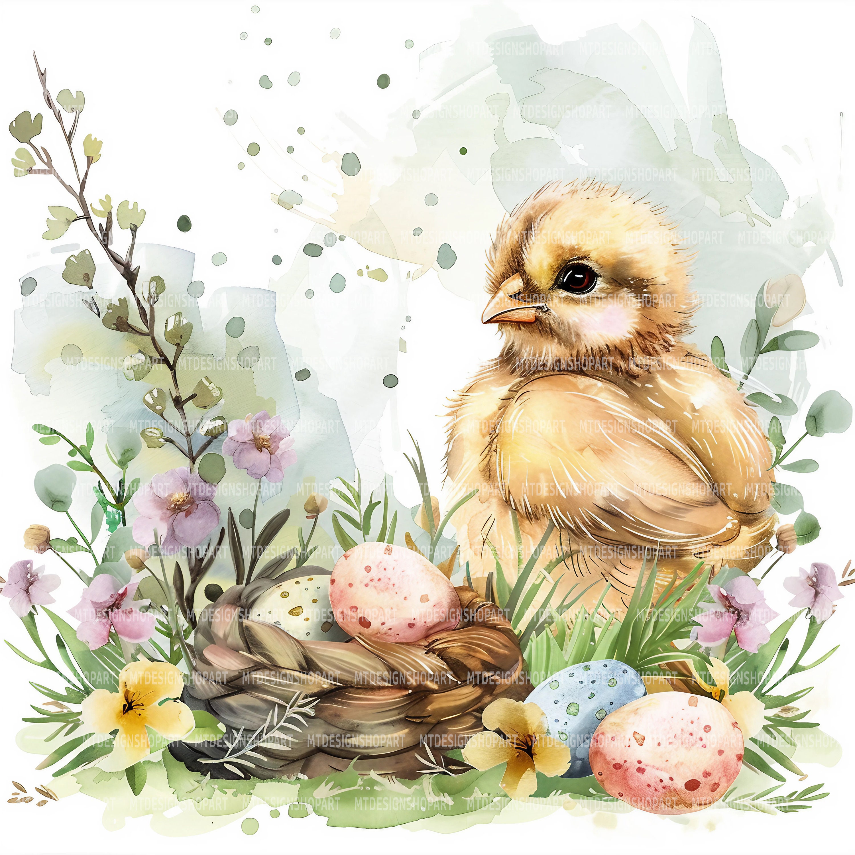 11 Chick and Eggs Clipart, Chicks, Printable Watercolor Clipart, High ...