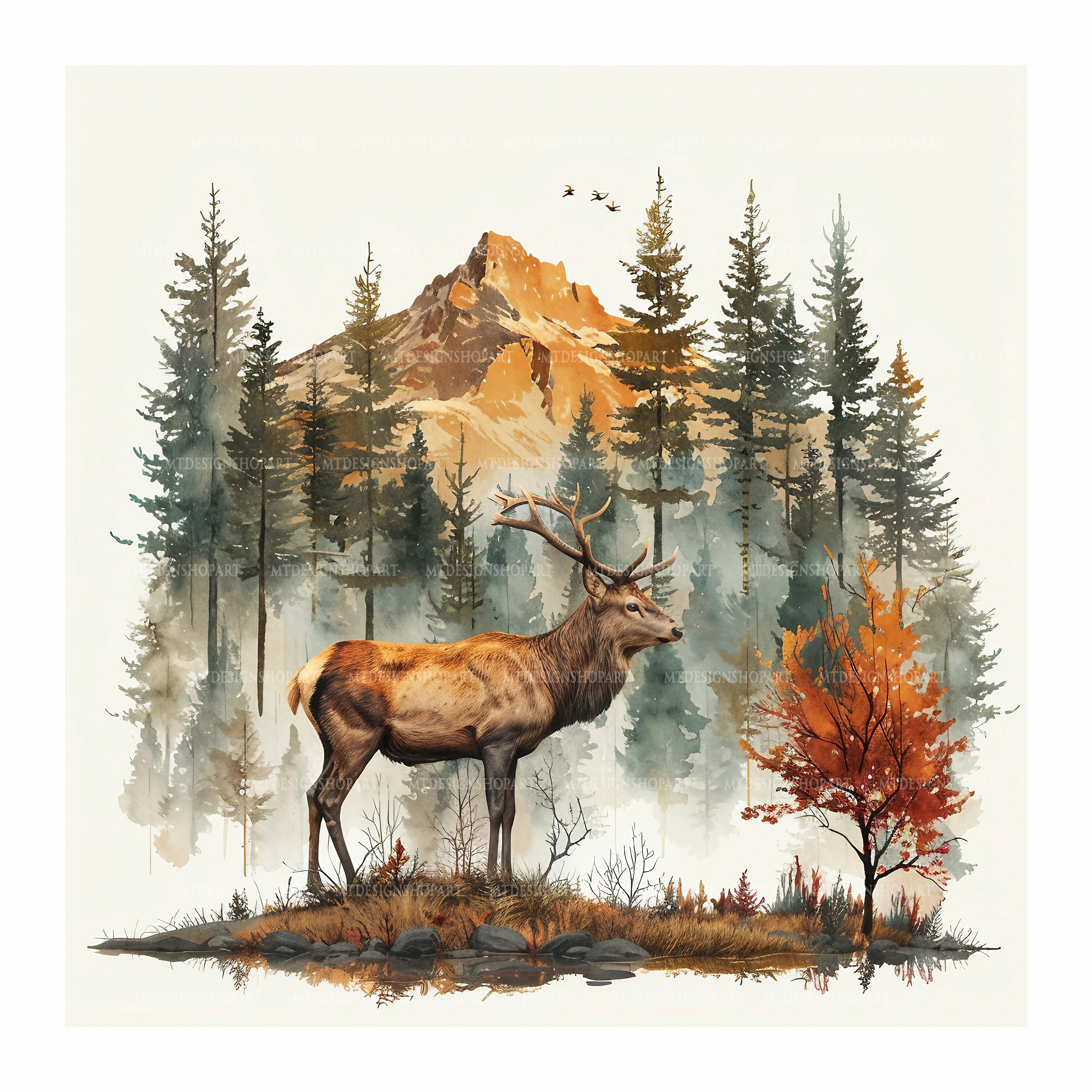 15 Deer Clipart, Printable Watercolor Clipart, Watercolor Deer Clipart ...