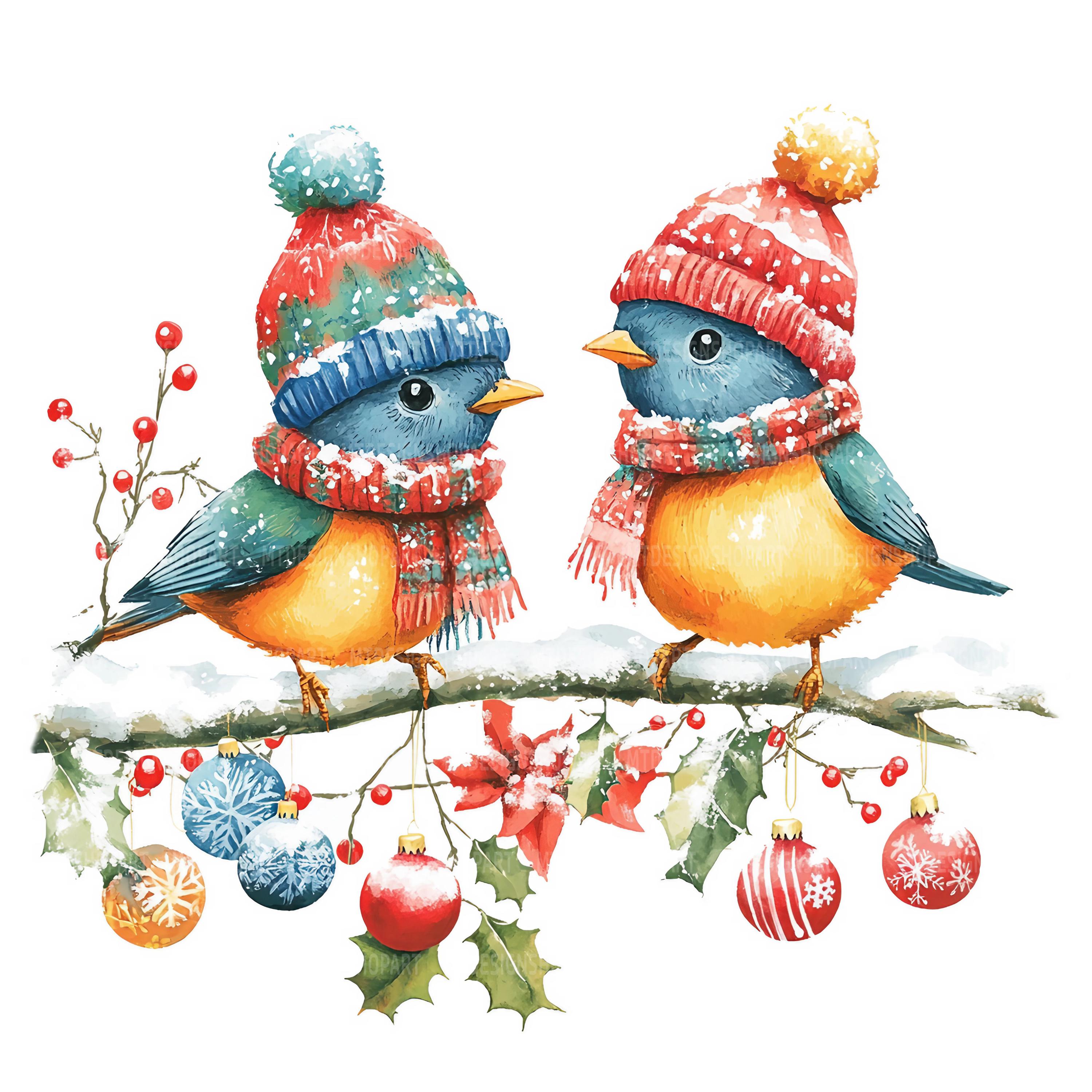 22 Christmas Birds Clipart, Festive Birds on Branch, Printable ...