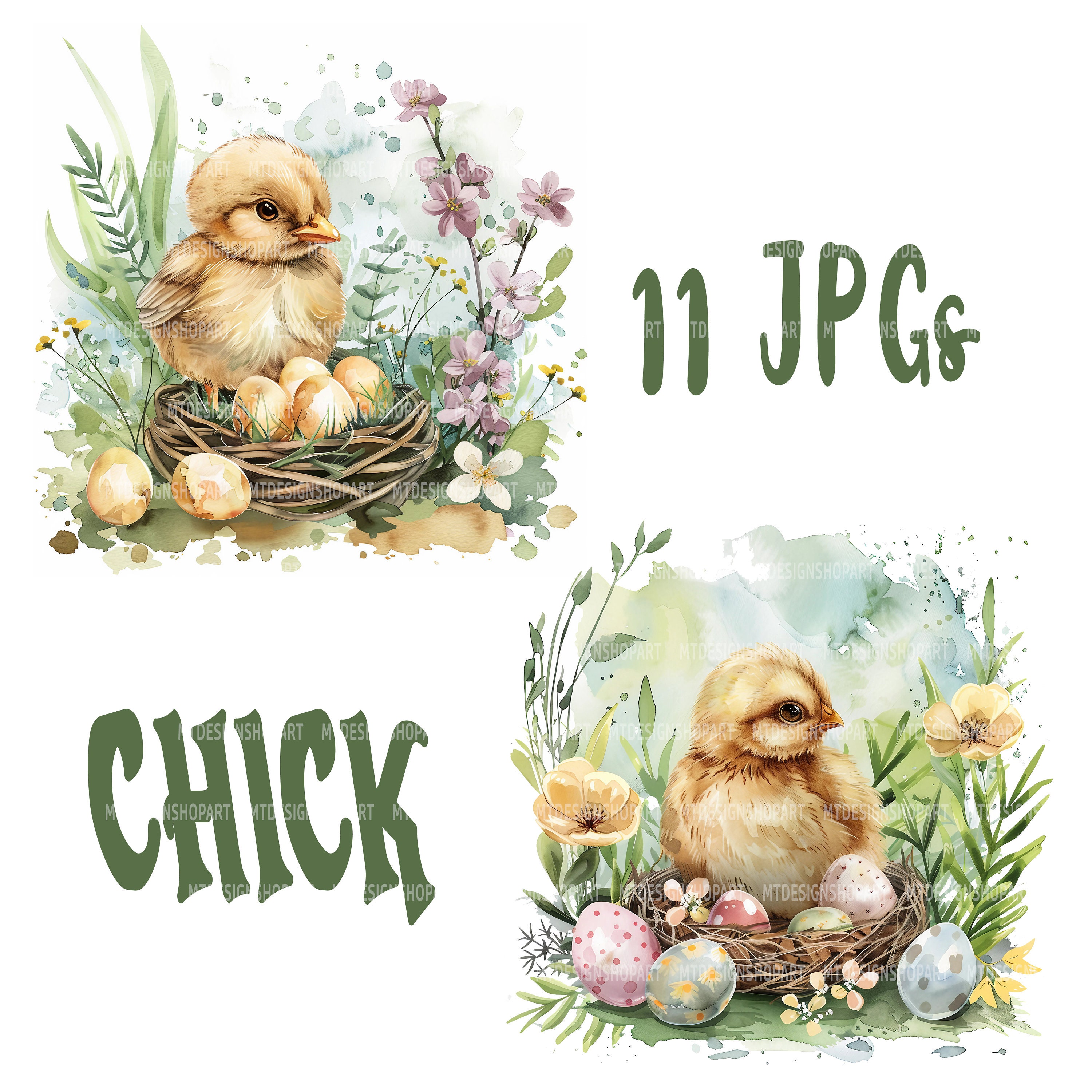 11 Chick and Eggs Clipart, Chicks, Printable Watercolor Clipart, High ...