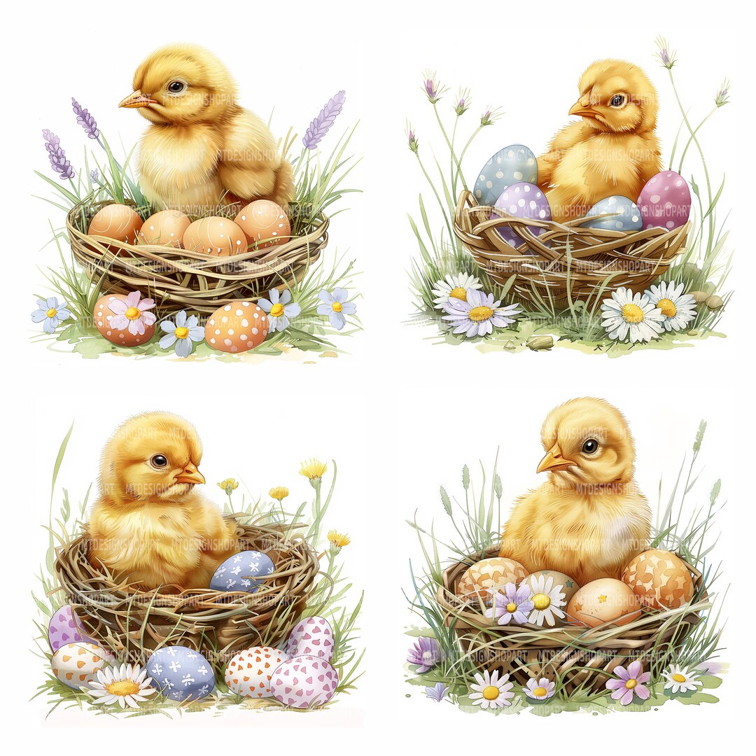 13 Chick and Eggs Clipart, Chicks, Printable Watercolor Clipart, High ...