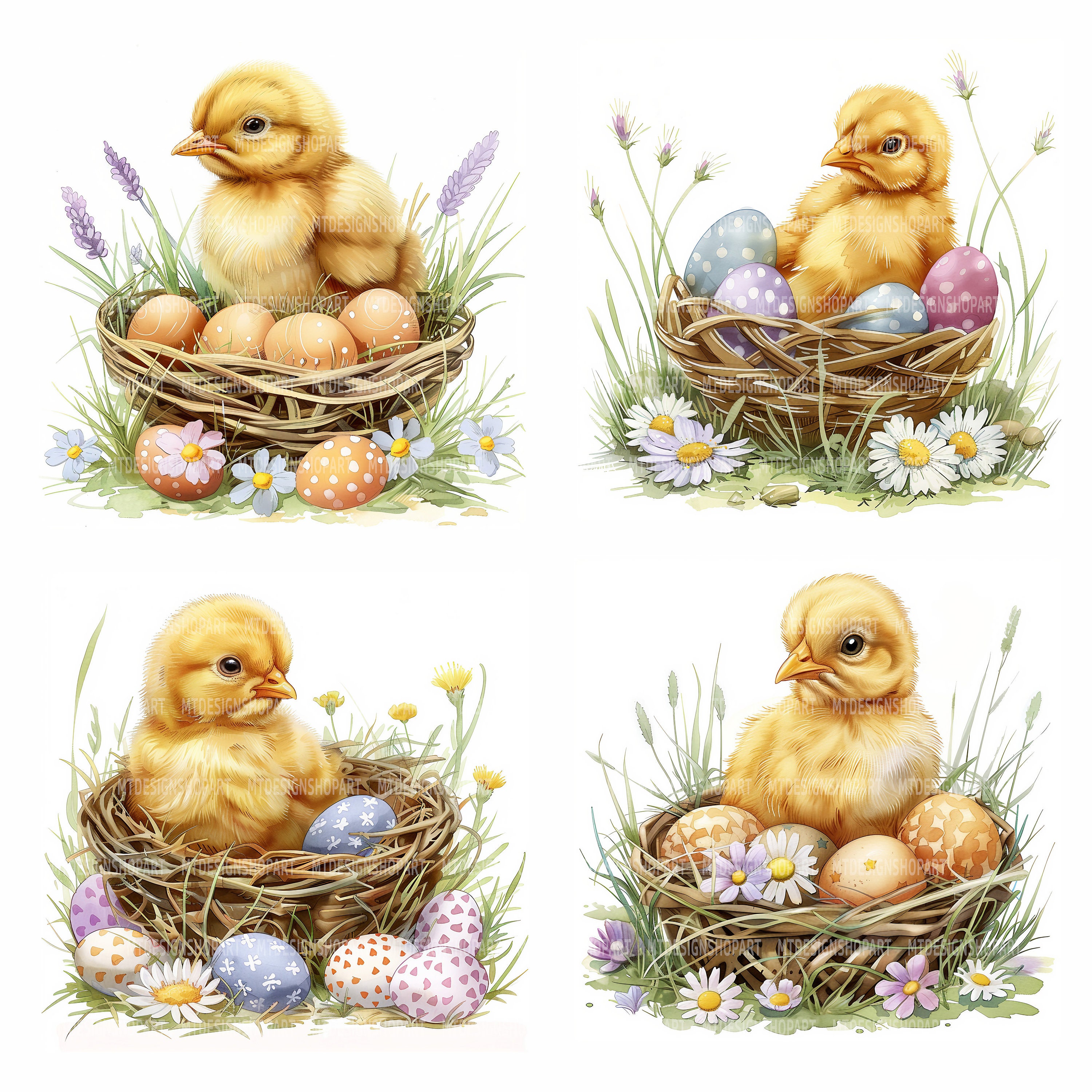 13 Chick and Eggs Clipart, Chicks, Printable Watercolor Clipart, High ...