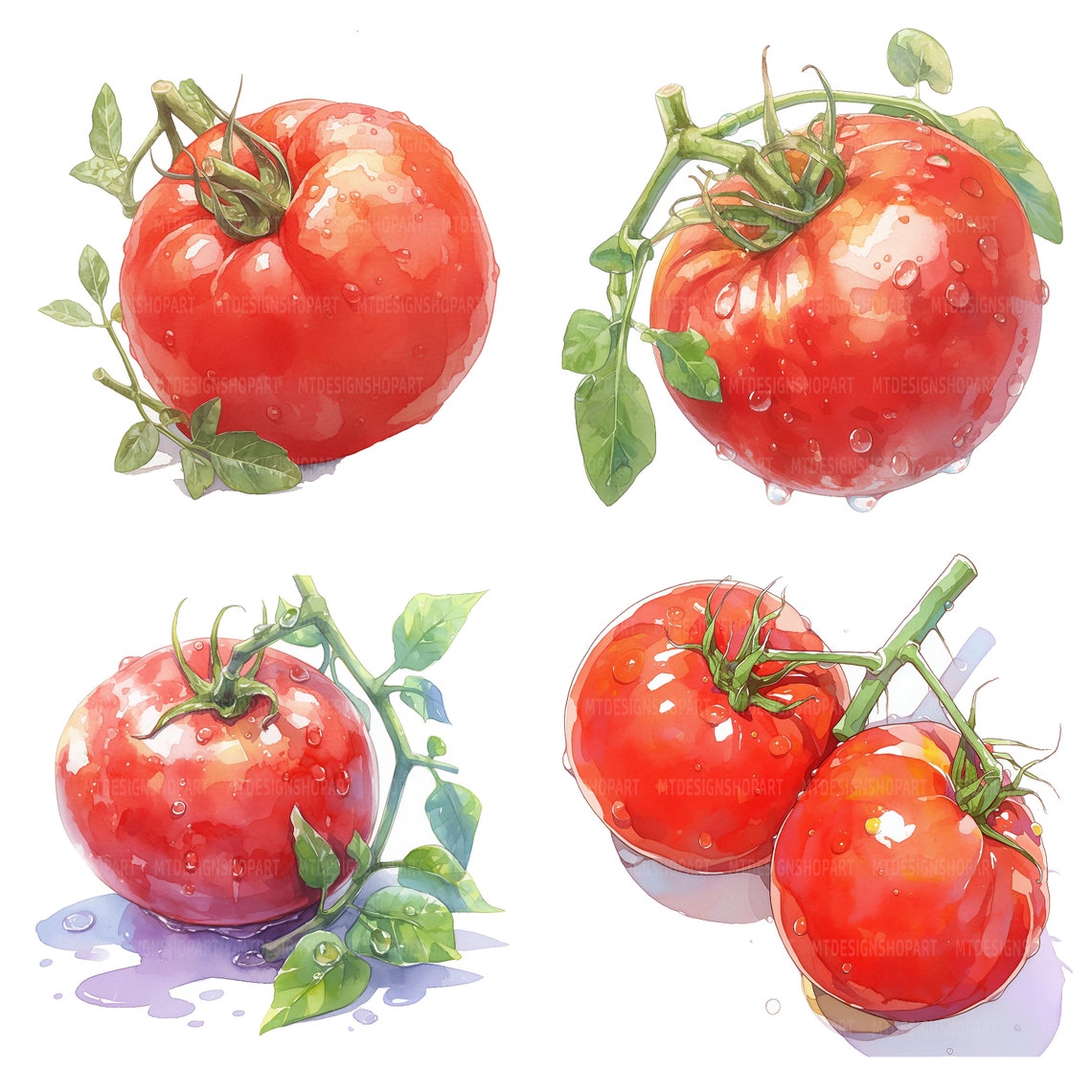 18 Tomatoes Clipart, Cute Tomato Clipart, Printable Watercolor Clipart ...