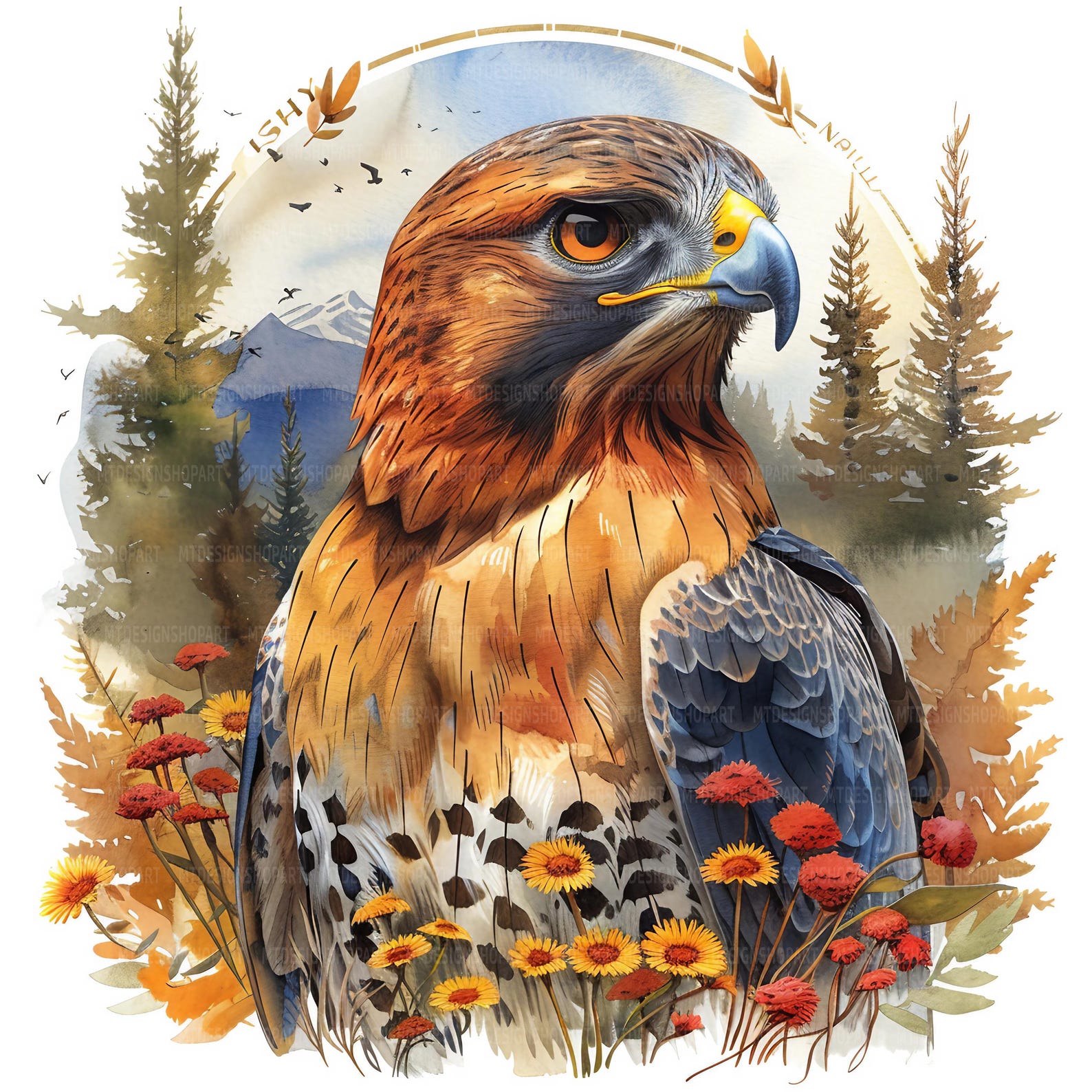 11 Watercolor Hawk Clipart, JPG, Printable Bird Art, Junk Journal ...