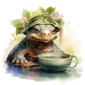 18 Vintage Old Turtle Clipart, Turtle Clipart, Printable Watercolor ...