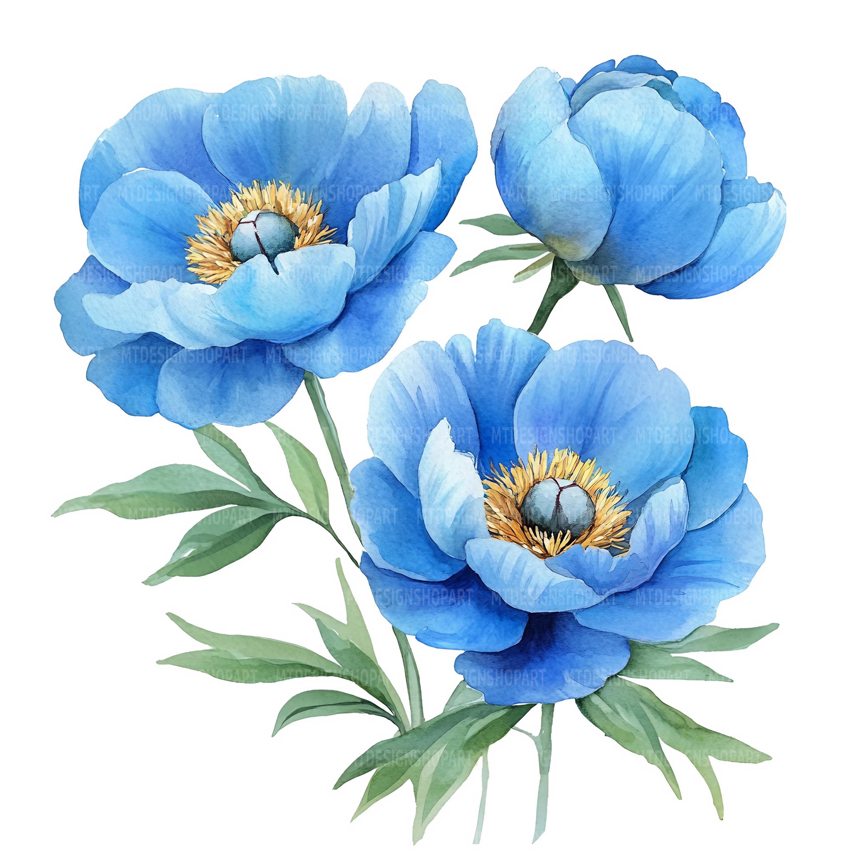 18 Blue Peonies Clipart, Peonies Bouquet, Printable Watercolor Clipart ...