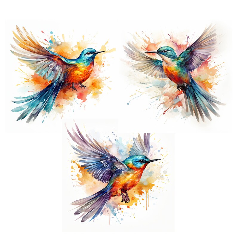 18 Beautiful Birds Clipart, Bird Clipart, Watercolor Clipart, Printable ...