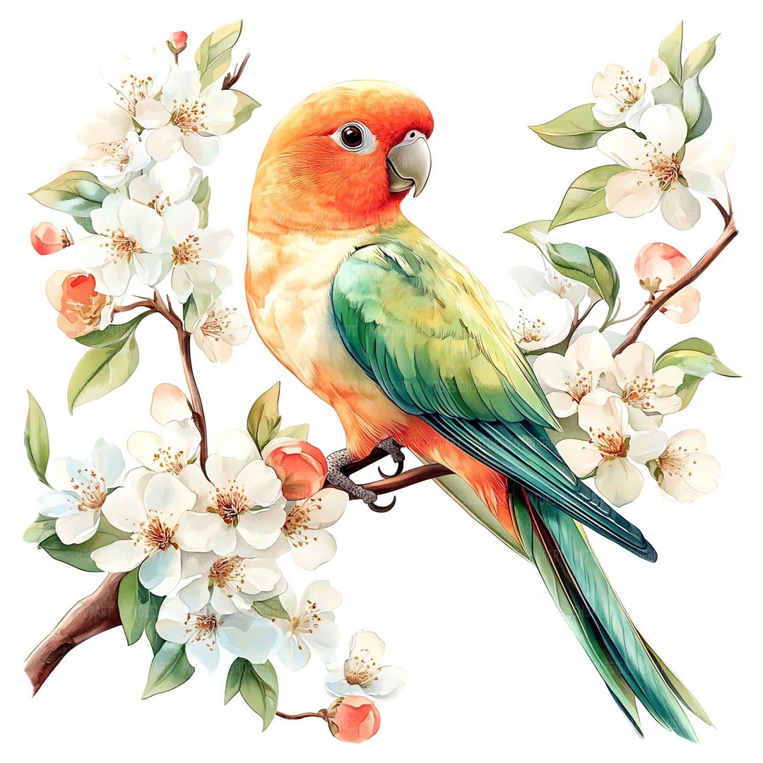 22 Floral Parrot Clipart, Charming Parrots Clipart, Lorikeet, Printable ...