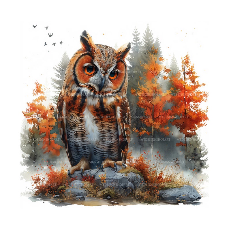 10 Owl Clipart, Printable Watercolor Clipart, Watercolor Owl Clipart ...