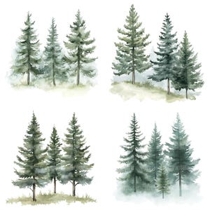 20 Conifer Tree Clipart, Forest Trees Clipart, Printable Watercolor ...