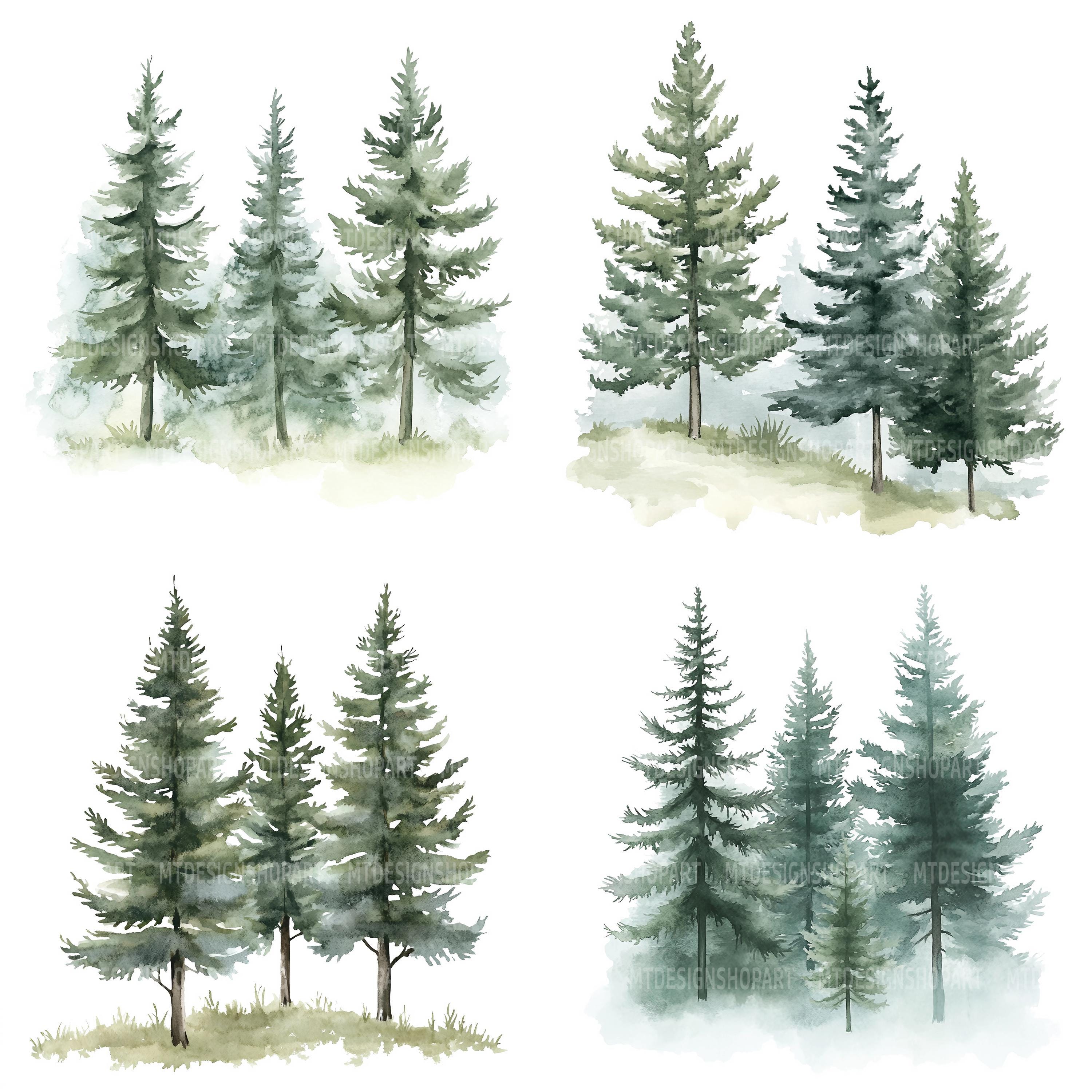 20 Conifer Tree Clipart, Forest Trees Clipart, Printable Watercolor ...