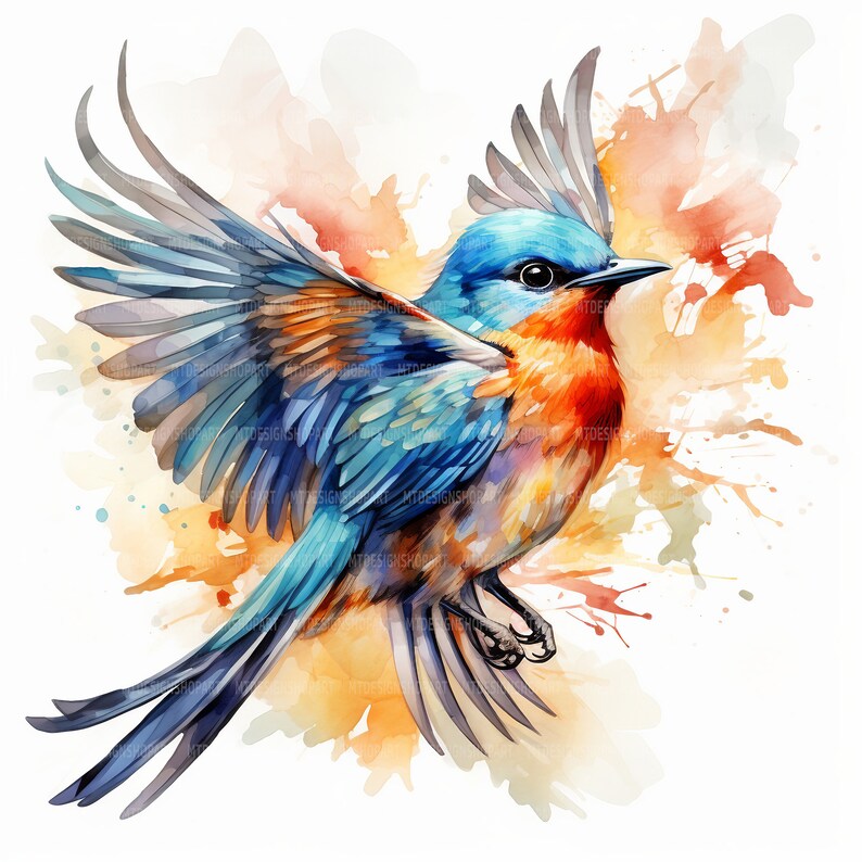 18 Beautiful Birds Clipart, Bird Clipart, Watercolor Clipart, Printable ...