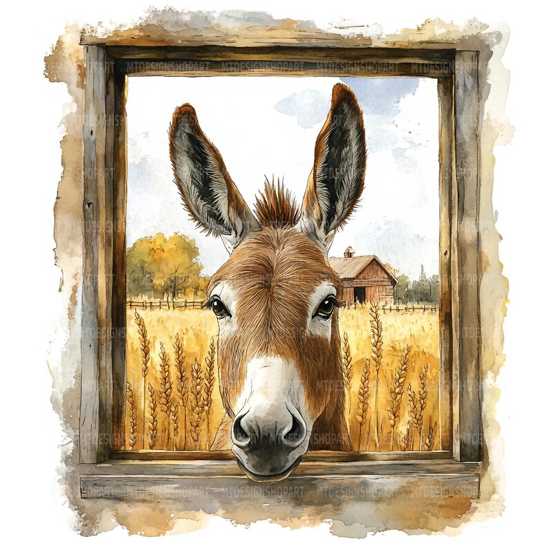 20 Donkey Window Clipart, Nursery Donkey, Printable Watercolor Clipart ...