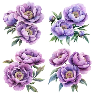 25 Purple Peonies Clipart, Purple Flowers, Printable Watercolor Clipart ...