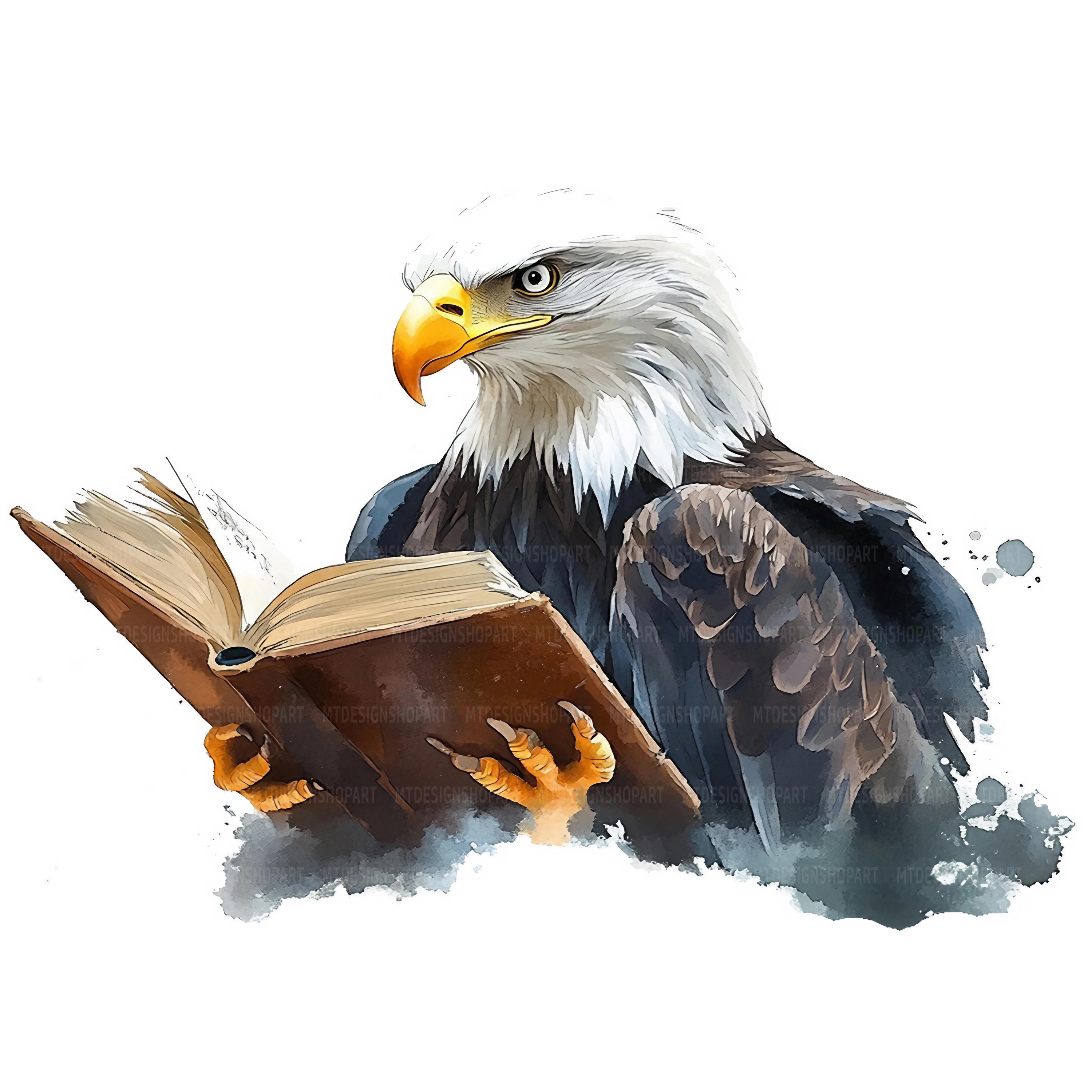 16 Eagle Reading Book Clipart, Bald Eagle, Printable Watercolor Clipart ...