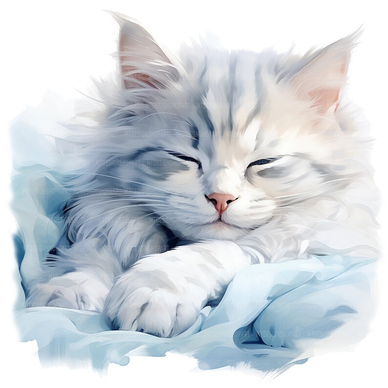 13 Sleeping Kitten Cat Clipart, Sleeping Baby Cats, Printable ...