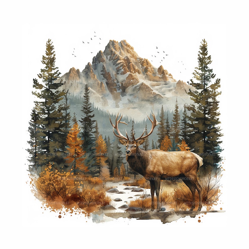 15 Deer Clipart, Printable Watercolor Clipart, Watercolor Deer Clipart ...