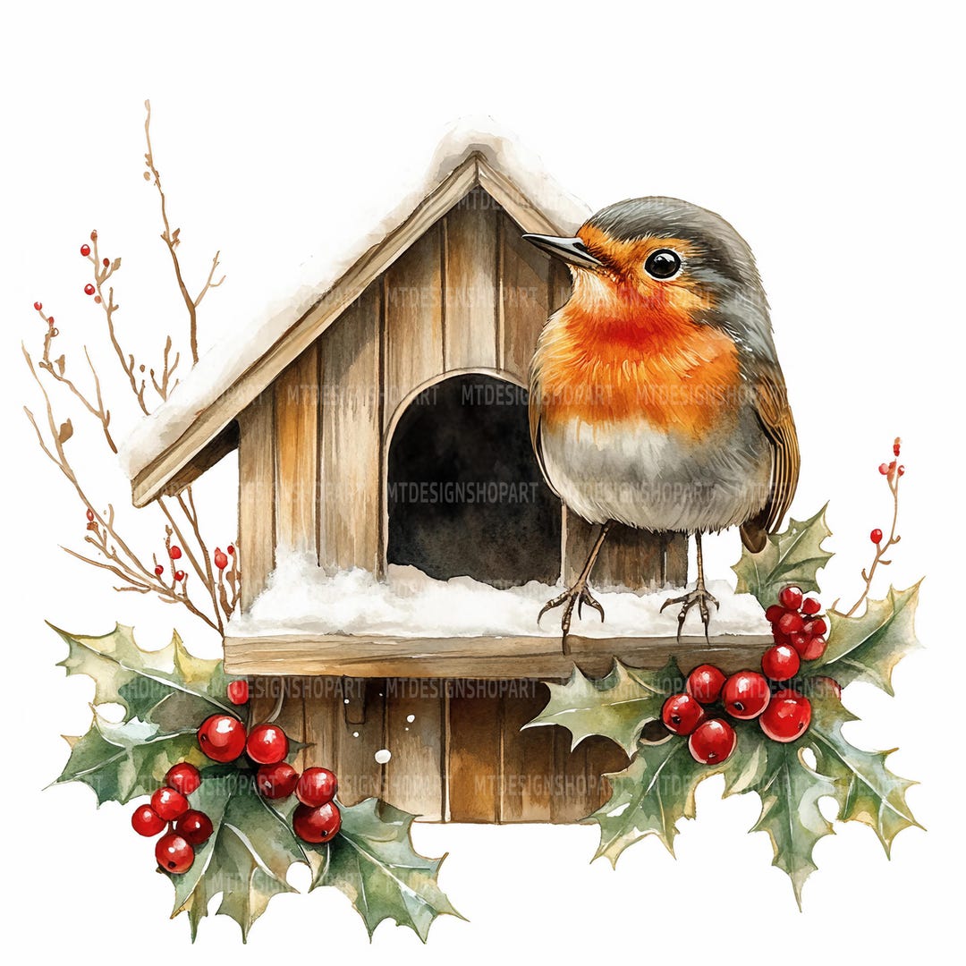23 Christmas Robin Clipart, Christmas Bird Card, Printable Watercolor ...