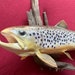 Brown Trout Reproduction Mount - Etsy