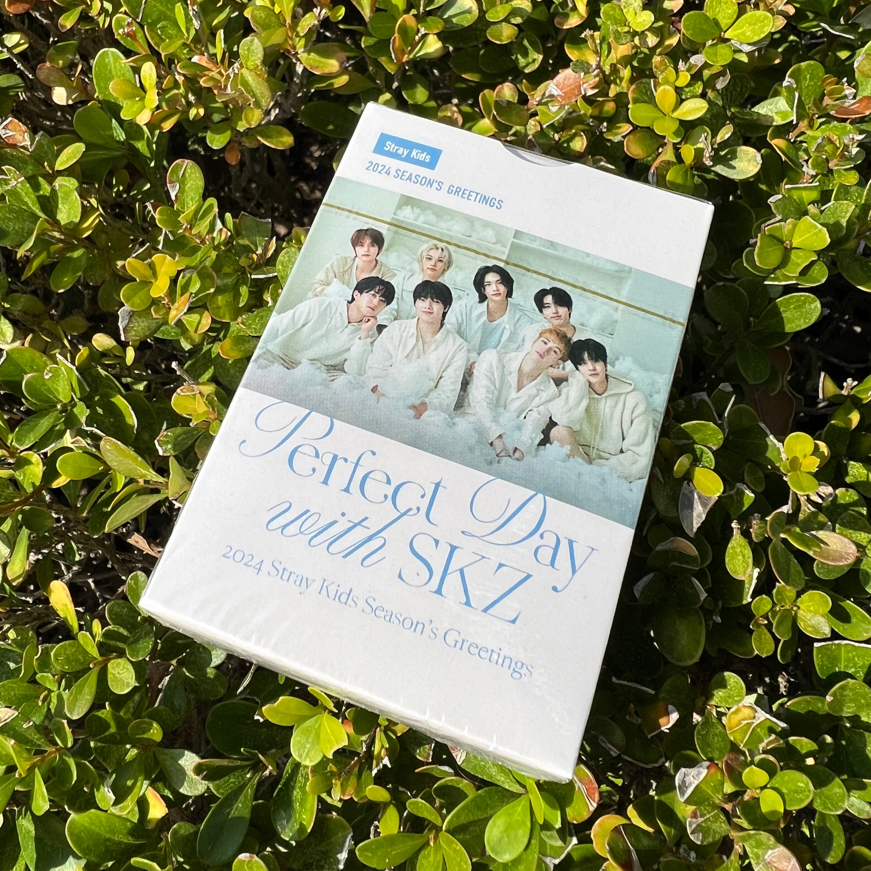 SKZ 2024 Season's Greetings Perfect Day 55 Lomo Photocards Pack Stray K ...