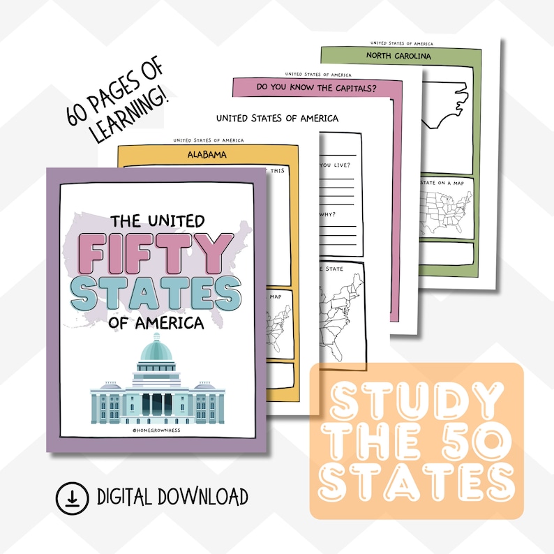 Fifty States Study Worksheets - Etsy