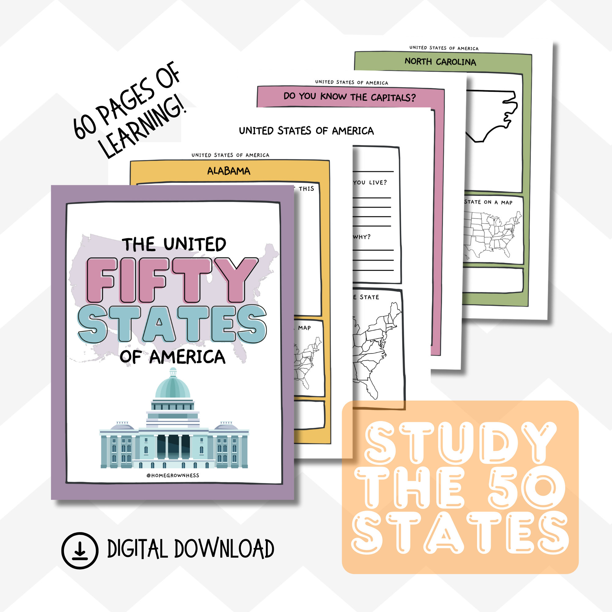 Fifty States Study Worksheets - Etsy