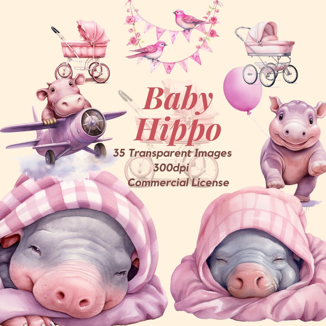 Watercolor Cute Pink Hippo Clipart Girl Baby Shower Girl - Etsy