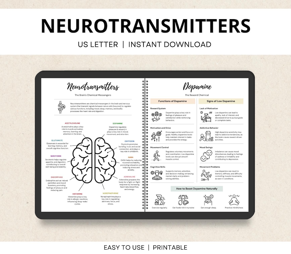 Neurotransmitters Cheat Sheets, Brain Chemistry, Neuropsychology, Happy ...