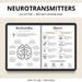 Neurotransmitters Cheat Sheets, Brain Chemistry, Neuropsychology, Happy ...