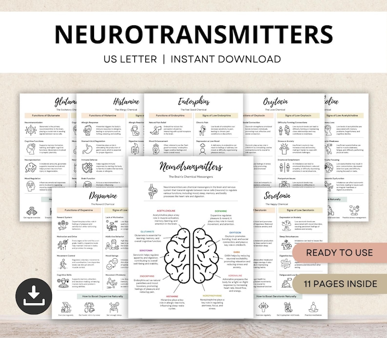 Neurotransmitters Cheat Sheets, Brain Chemistry, Neuropsychology, Happy ...