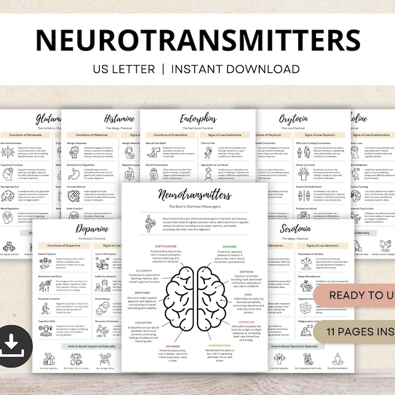 Human Anatomy Chart Pdf - Etsy