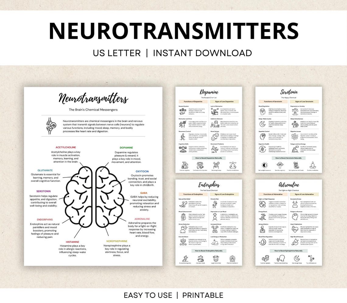 Neurotransmitters Cheat Sheets, Brain Chemistry, Neuropsychology, Happy ...