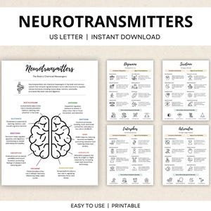Neurotransmitters Cheat Sheets, Brain Chemistry, Neuropsychology, Happy ...