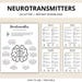 Neurotransmitters Cheat Sheets, Brain Chemistry, Neuropsychology, Happy ...
