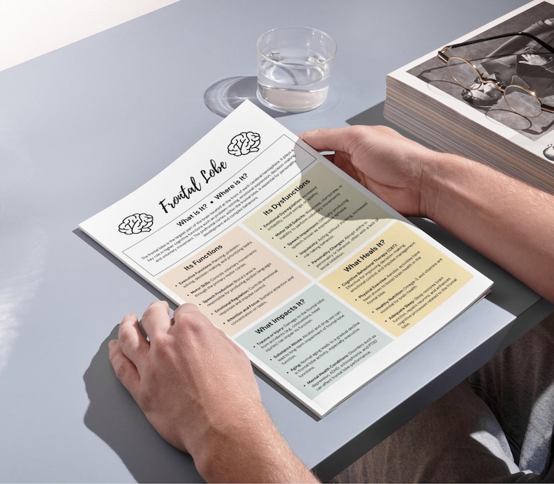 Brain Regions and Their Functions, Brain Anatomy Guide, Neuropsychology ...