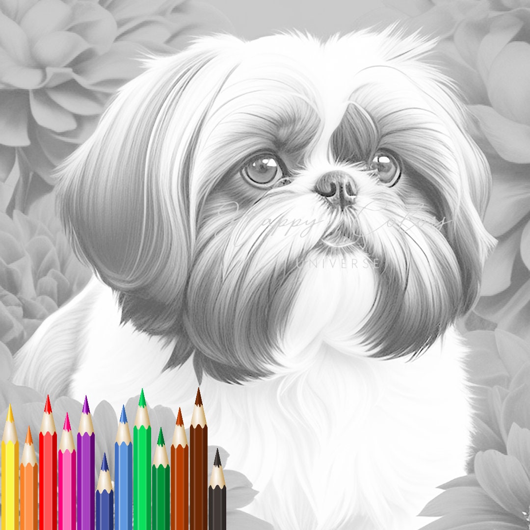 Shih Tzu Grayscale Coloring Page for Adults Printable Shih - Etsy