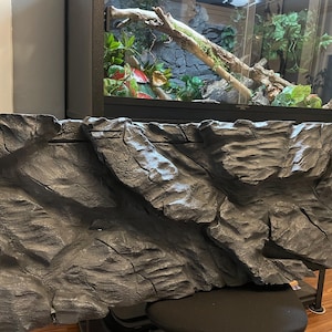 Rock Terrarium Background - Etsy