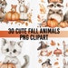 30 HQ Cute Fall Animal Clipart Pngs // Watercolor Clipart Pngs ...