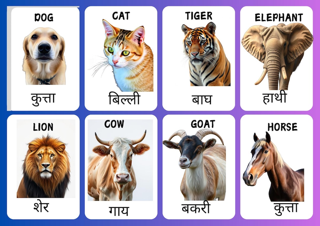 Animal Printable Flash Cards With English and Hindi Names for ...