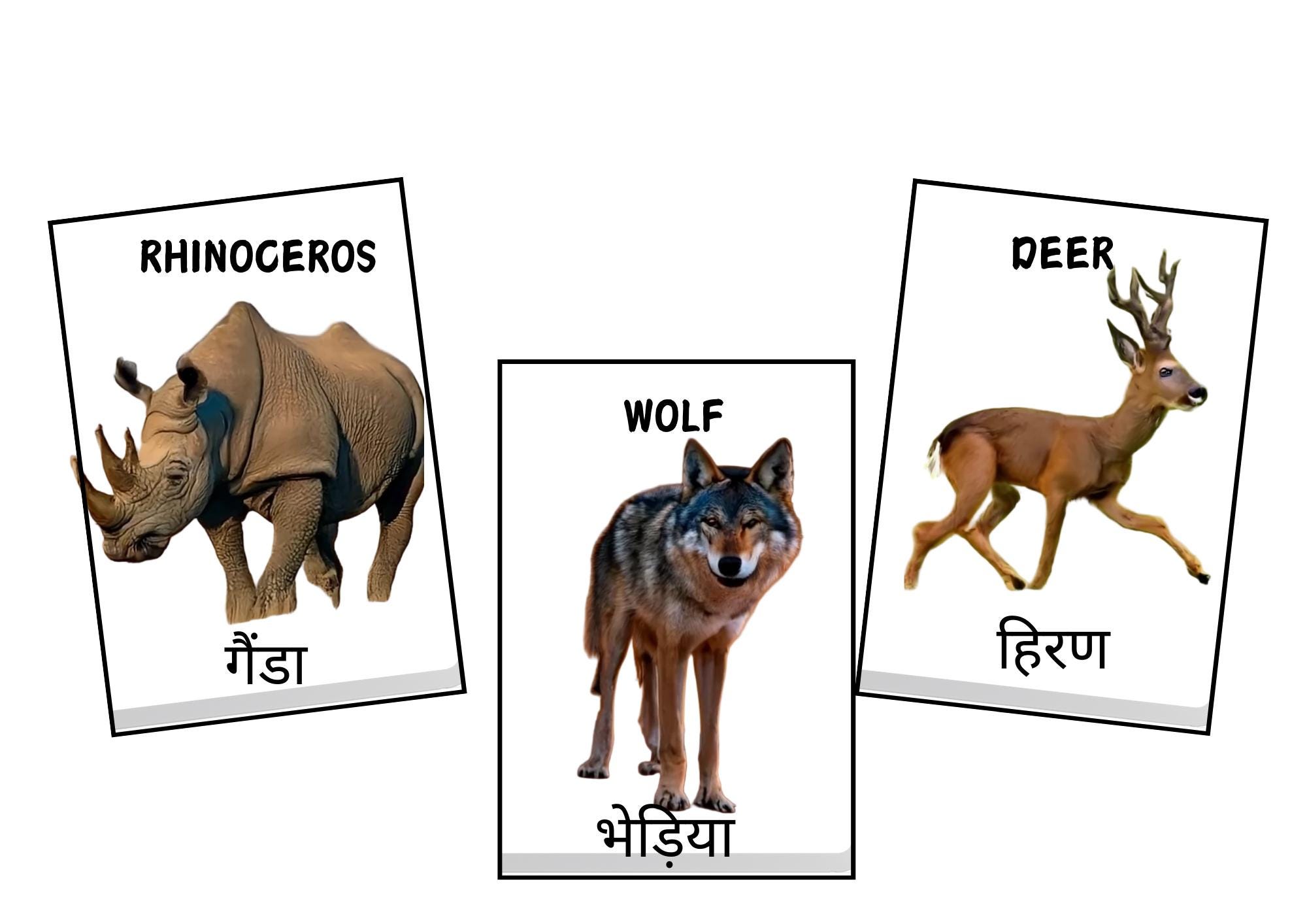 Animal Printable Flash Cards With English and Hindi Names for ...