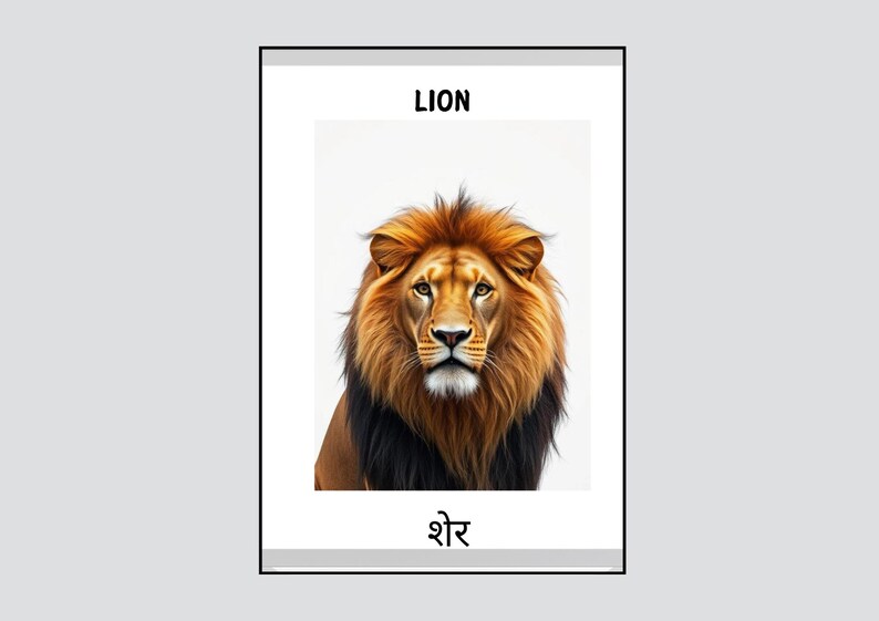 Animal Printable Flash Cards With English and Hindi Names for ...
