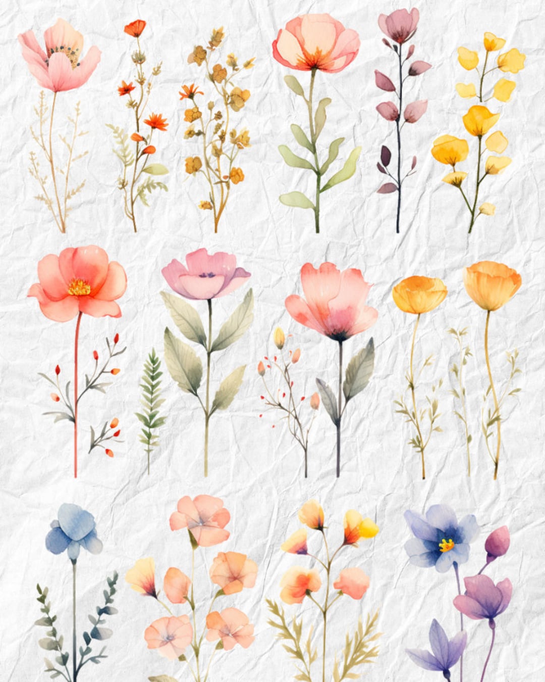 60 Watercolor Flower Elements, Clipart, Graphic Bundle, Watercolor ...