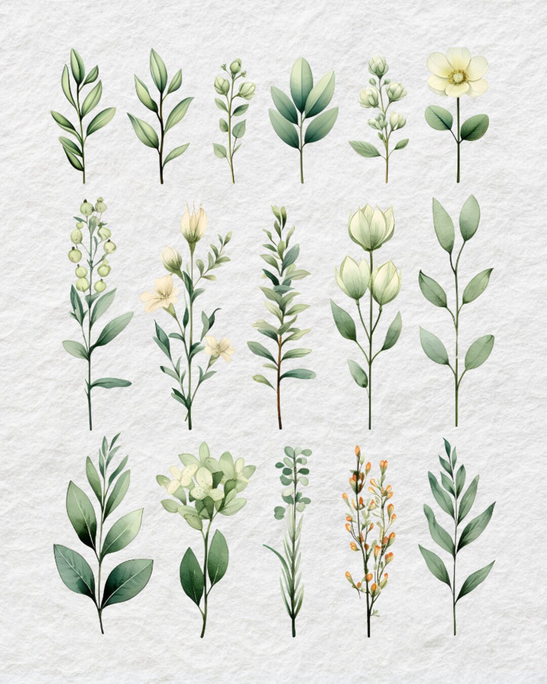 60+ Watercolor Flower Elements, Clipart, Graphic Bundle, Sage Green ...