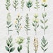 60 Watercolor Flower Elements, Clipart, Graphic Bundle, Watercolor ...
