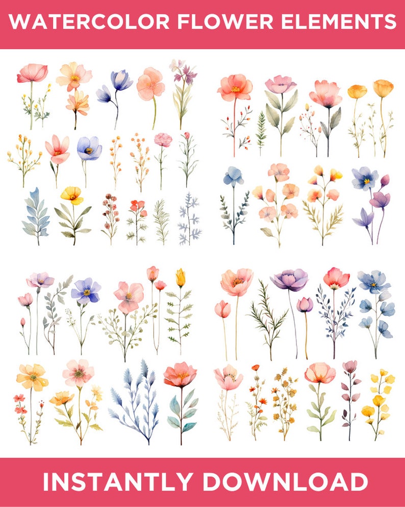60 Watercolor Flower Elements, Clipart, Graphic Bundle, Watercolor ...