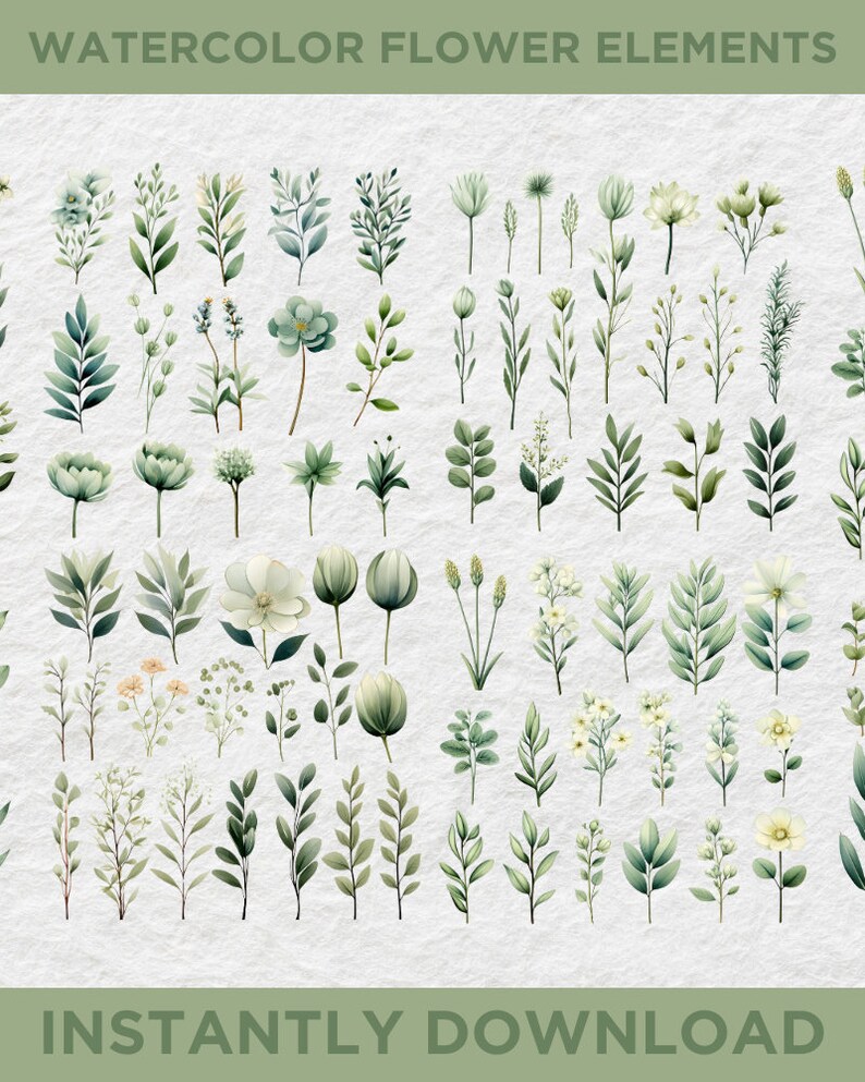 60+ Watercolor Flower Elements, Clipart, Graphic Bundle, Sage Green ...
