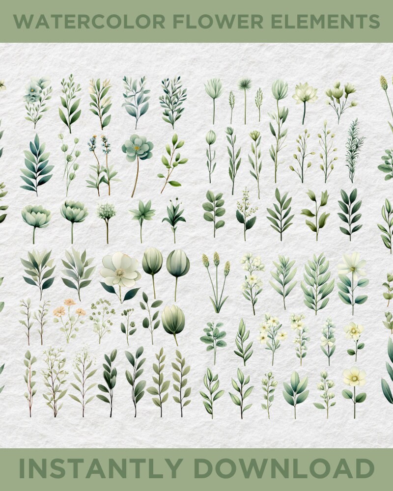 60+ Watercolor Flower Elements, Clipart, Graphic Bundle, Sage Green ...