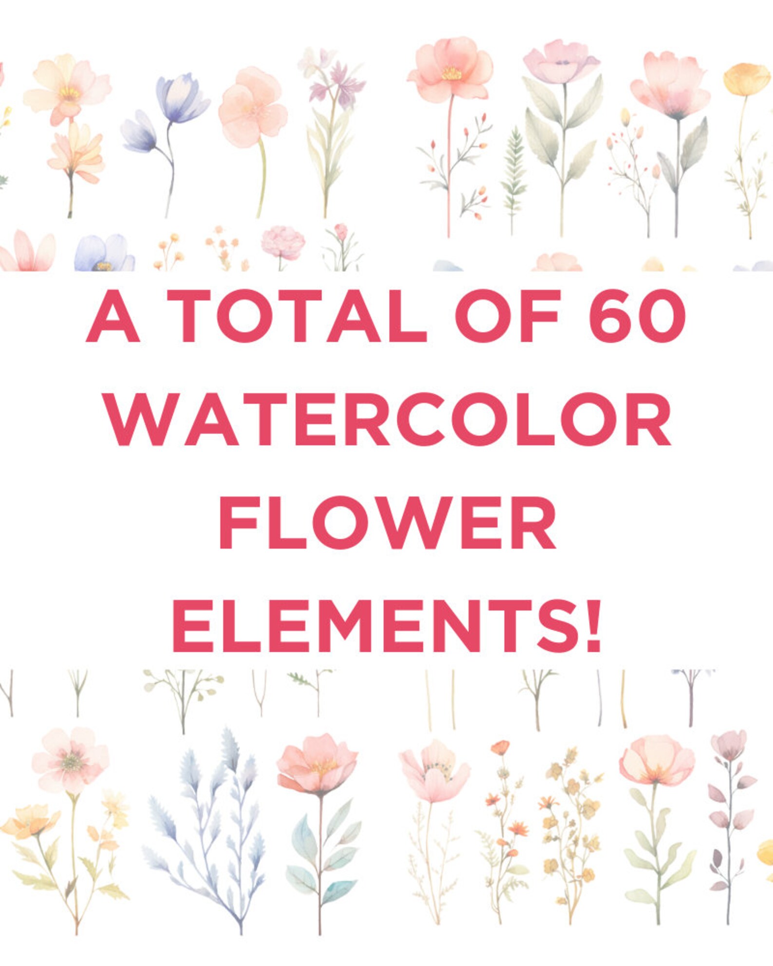 60 Watercolor Flower Elements, Clipart, Graphic Bundle, Watercolor ...