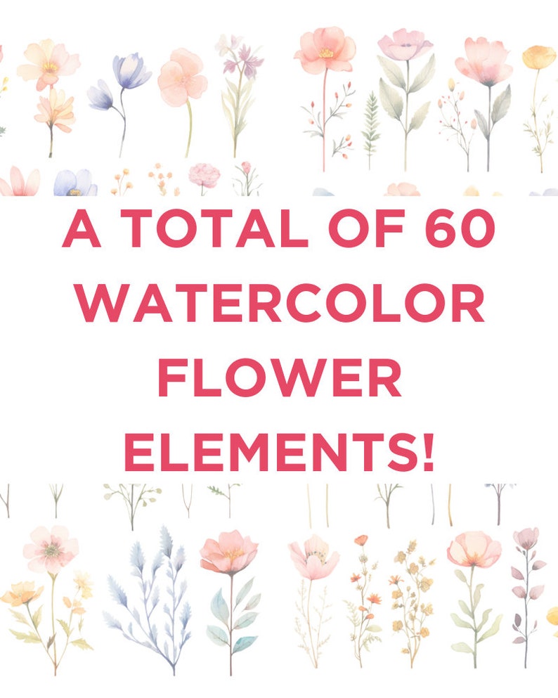 60 Watercolor Flower Elements, Clipart, Graphic Bundle, Watercolor ...