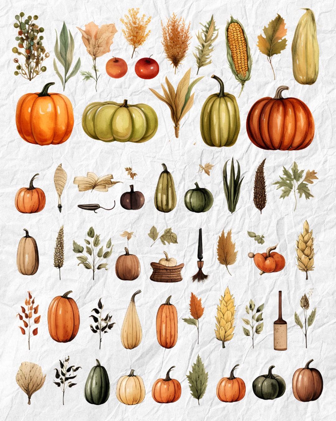 100+ Watercolor Fall/thanksgiving Elements, Clipart, Graphics Bundle ...